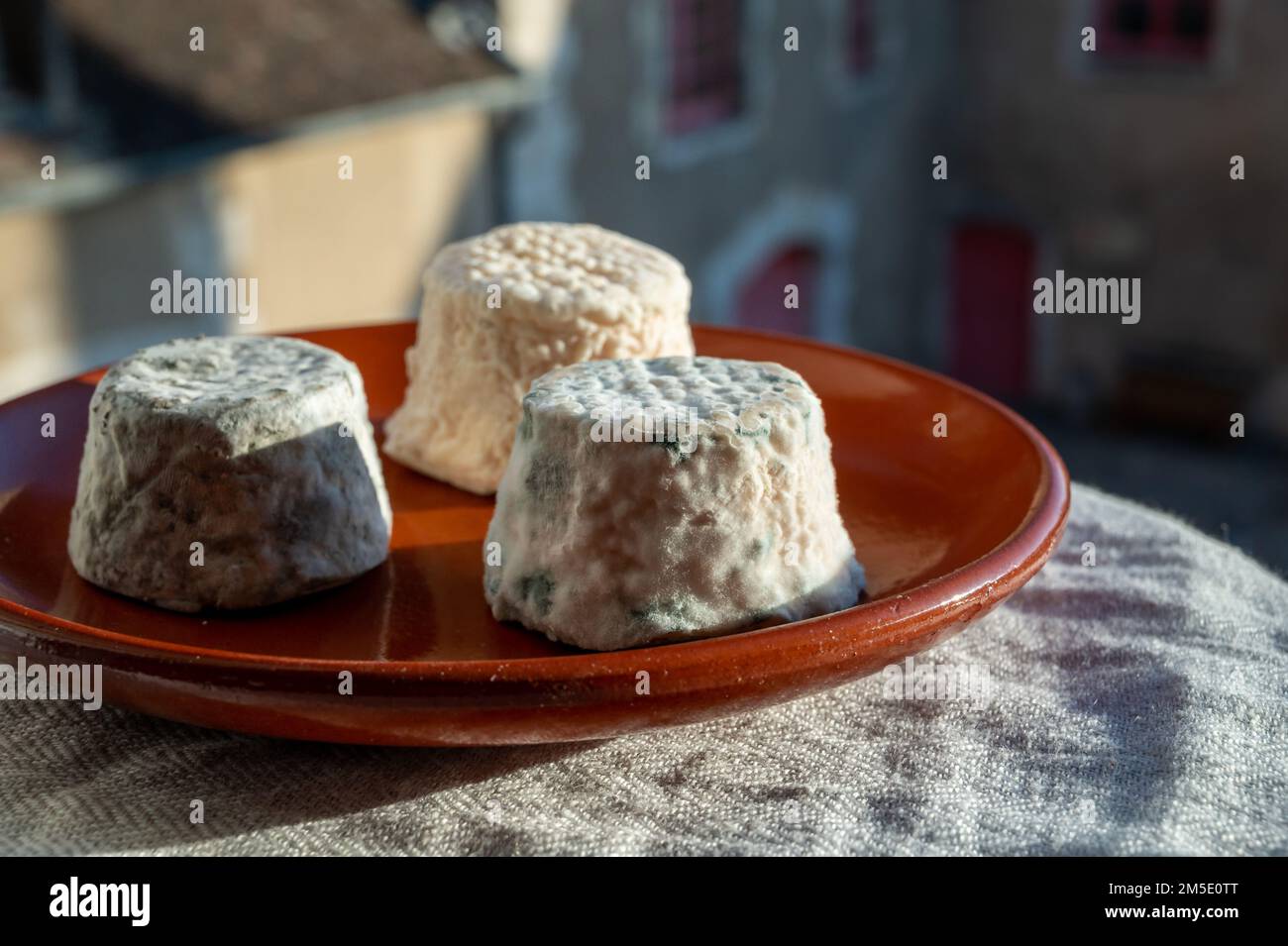 Small french goat cheeses, matured and with grey mold from Macon ...