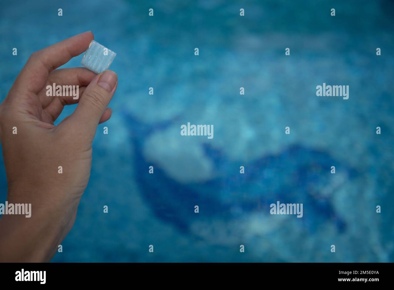 Hand holding small blue tile from floor of swimming pool. Dolphin ...