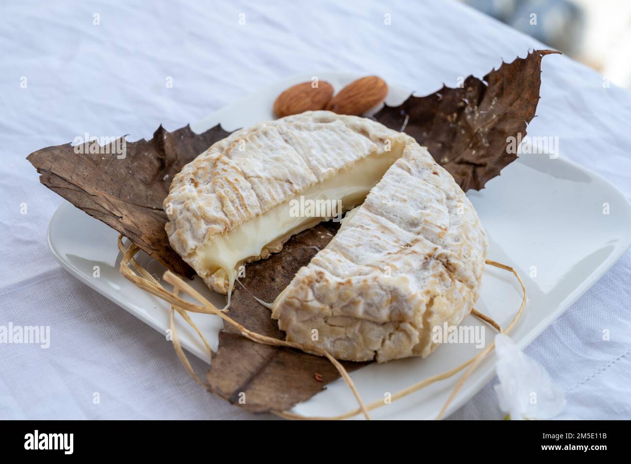 French mountains cheese banon made in Alpes-de-haute-provence wrapped ...
