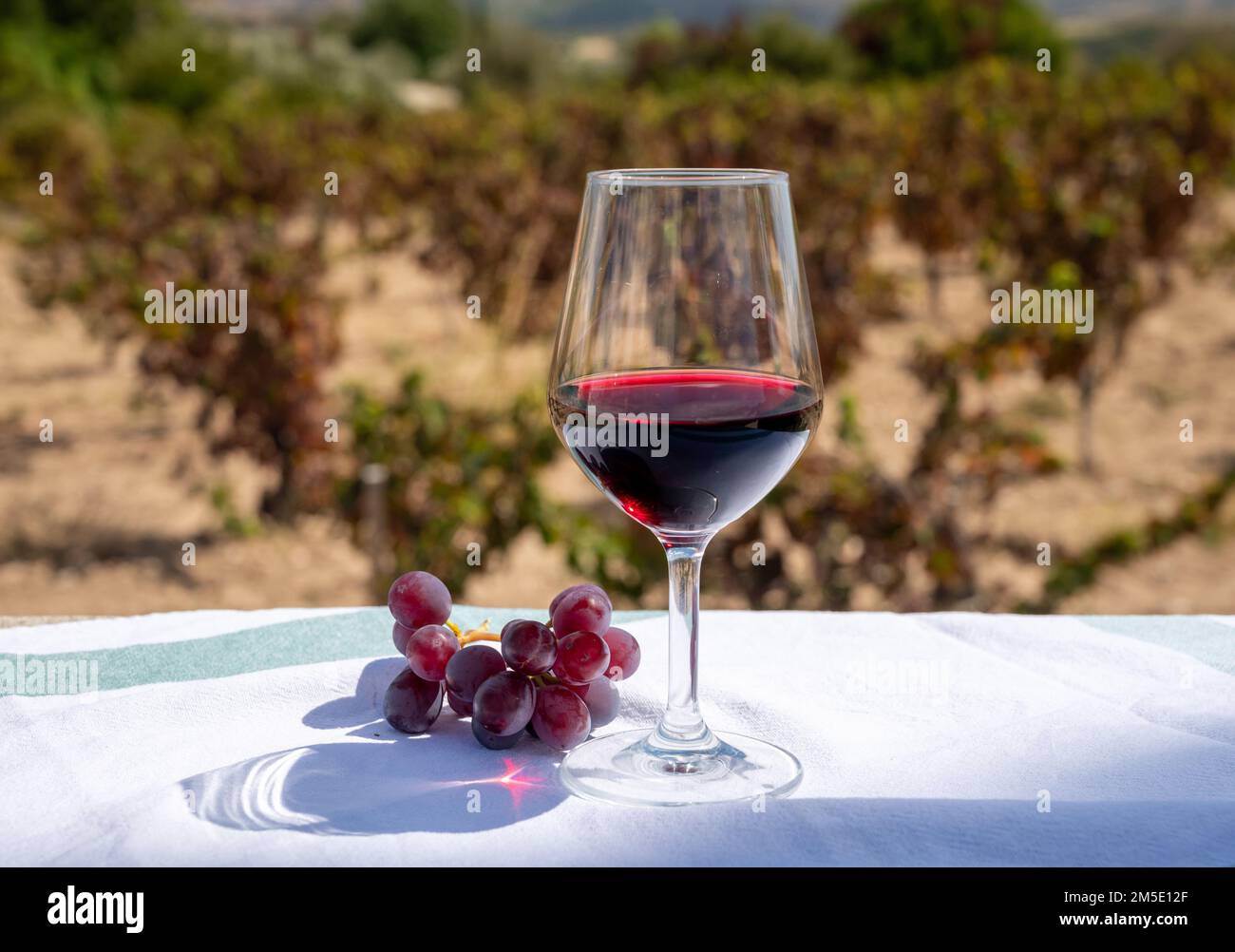 Tasting of red wine on vineyards of Cyprus. Wine production on Cyprus ...
