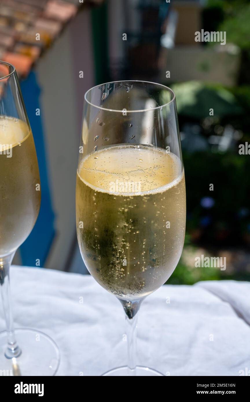 Summer party, drinking of French brut champagne sparkling wine in ...