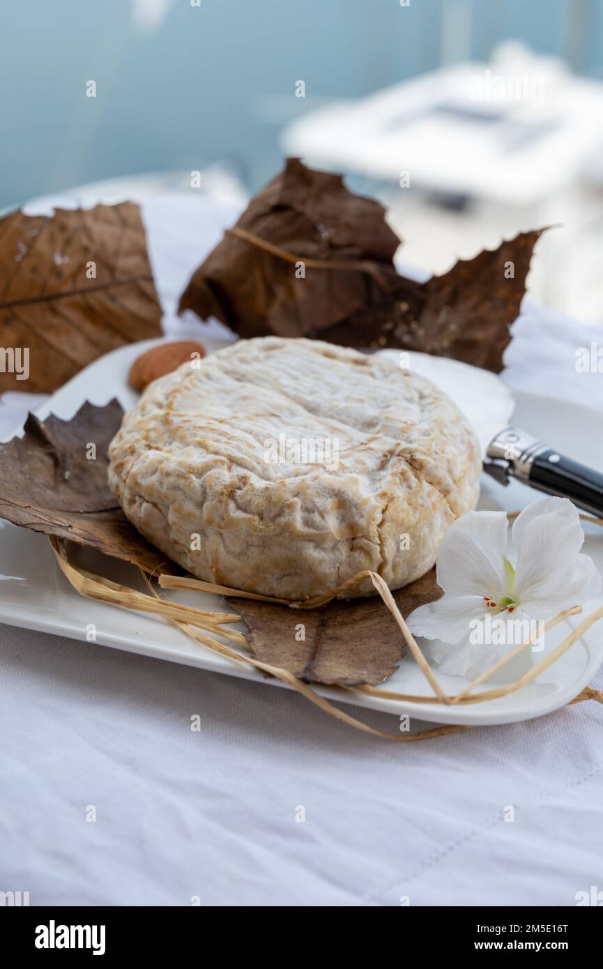 French mountains cheese banon made in Alpes-de-haute-provence wrapped ...