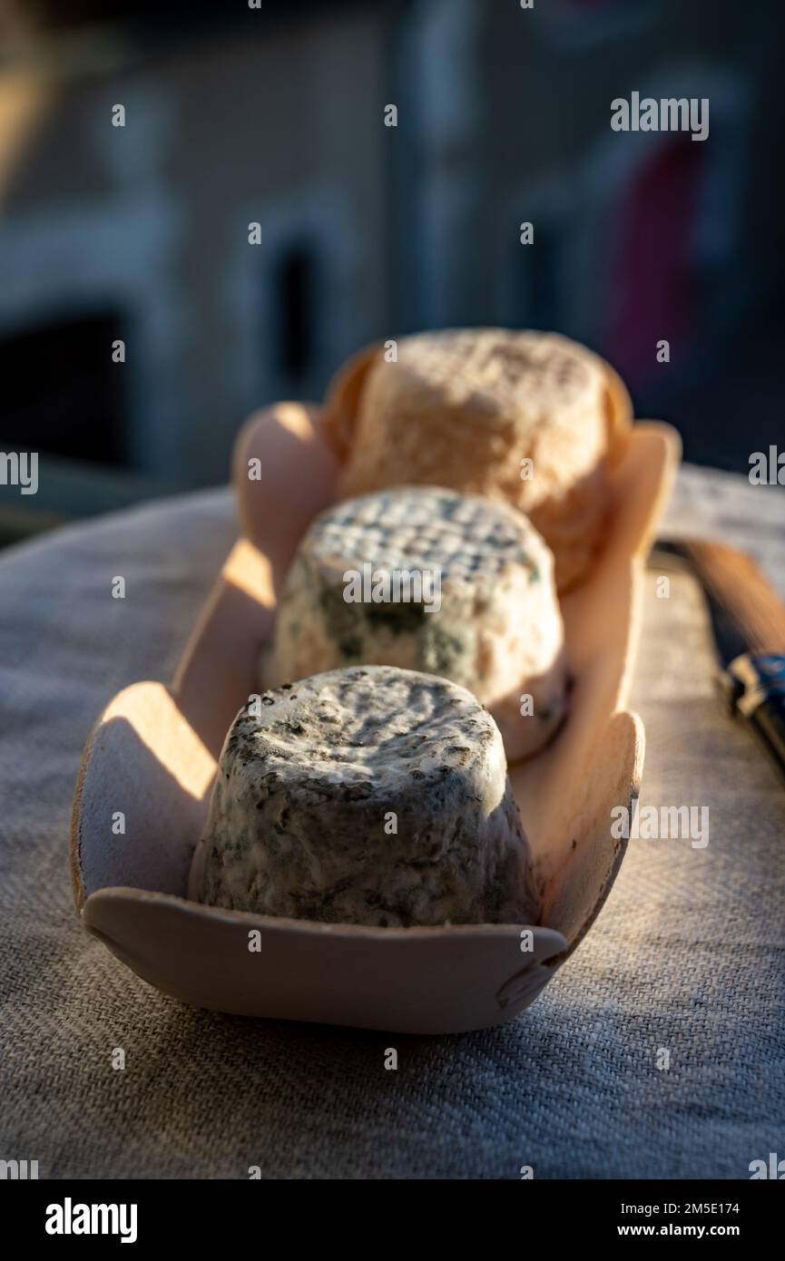 Small french goat cheeses, matured and with grey mold from Macon ...