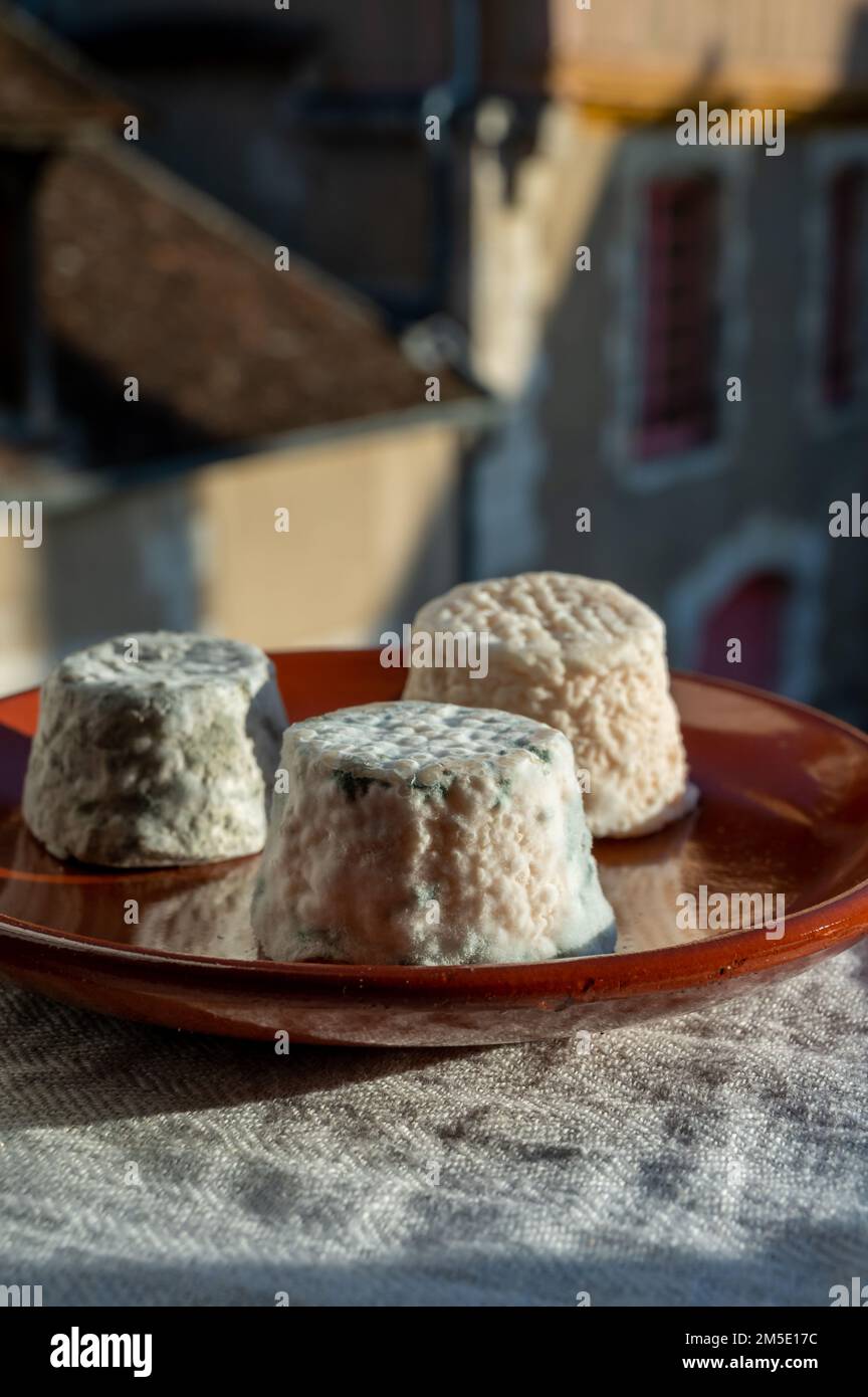 Small french goat cheeses, matured and with grey mold from Macon ...