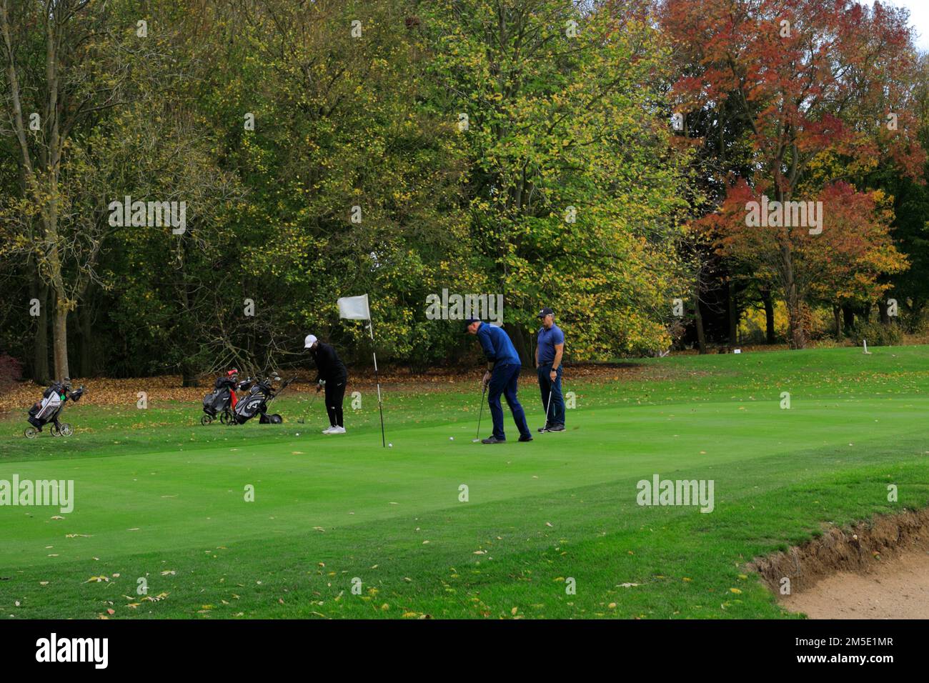 Thorpe wood golf course hi-res stock photography and images - Alamy