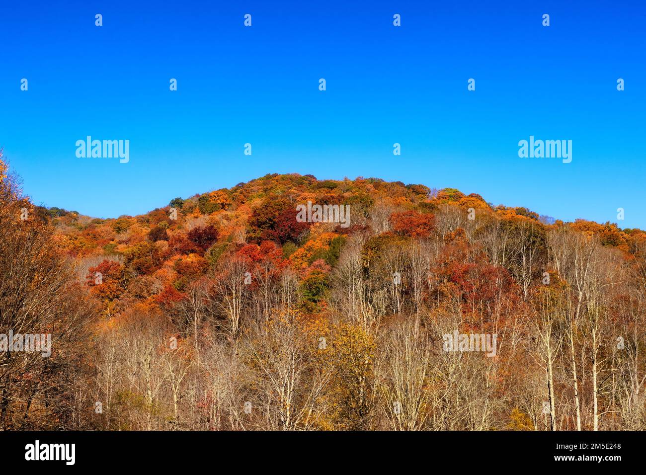 Roan mountain state park autumn hi-res stock photography and images - Alamy