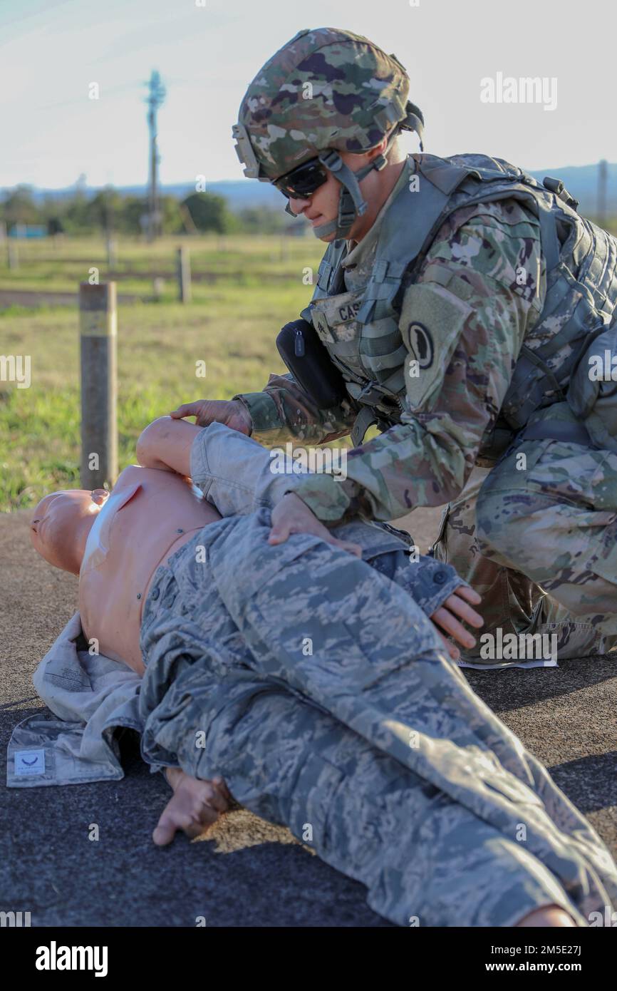 Hawaii Army National Guard (HIARNG) Soldier, Sgt. Trevor J. Castro, a ...