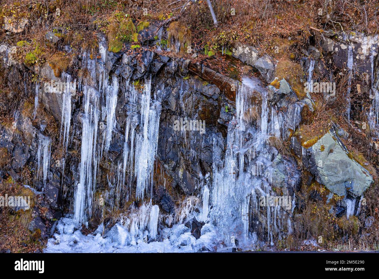 Near the top of Roan Mountain ice forms along the rocks Stock Photo - Alamy