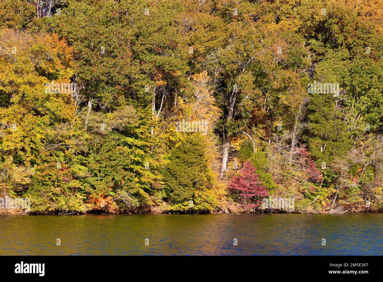Autumn along the South Fork Holston River in Warrior's Path State Park ...
