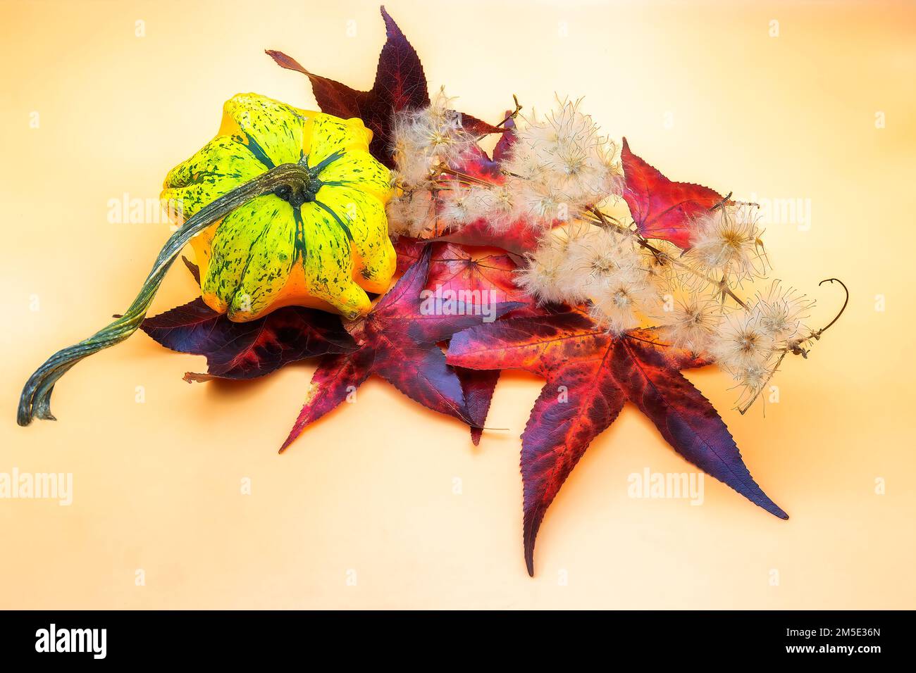 Still life image of autumn finds such as leaves, decorative gourd and ...