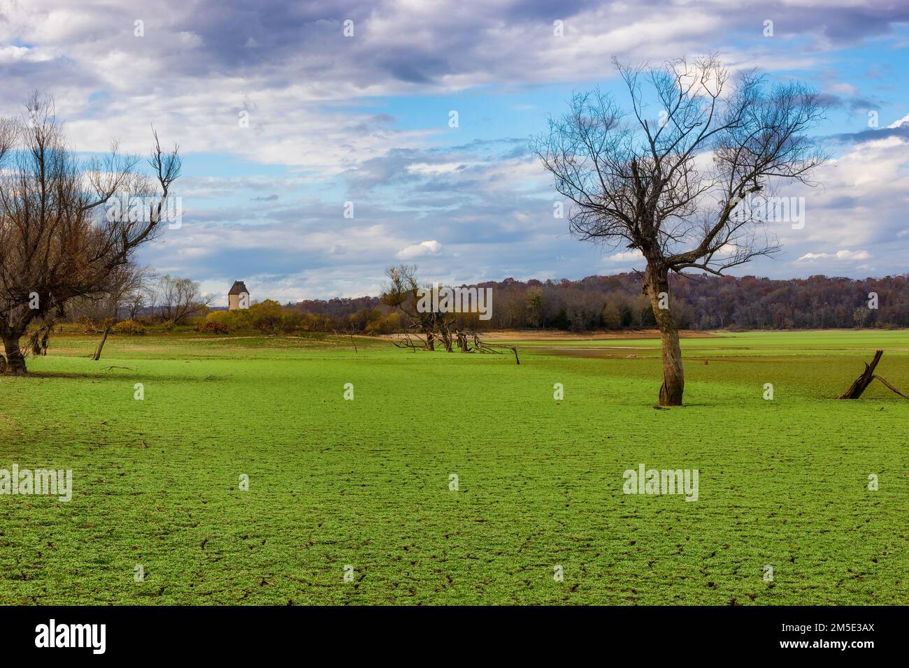 The lower of water levels in the fall leaves cracked mud flats with new ...