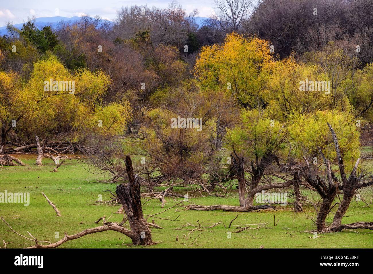 The lower of water levels in the fall leaves cracked mud flats with new ...