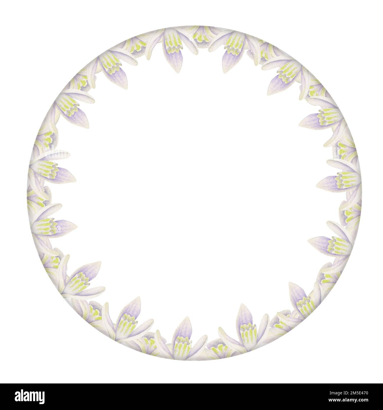Watercolor hand drawn circle wreath with spring flowers, daffodils ...
