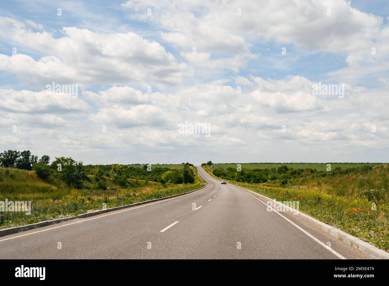 Motor transport routes between trees laid asphalt in Ukraine pre -war ...