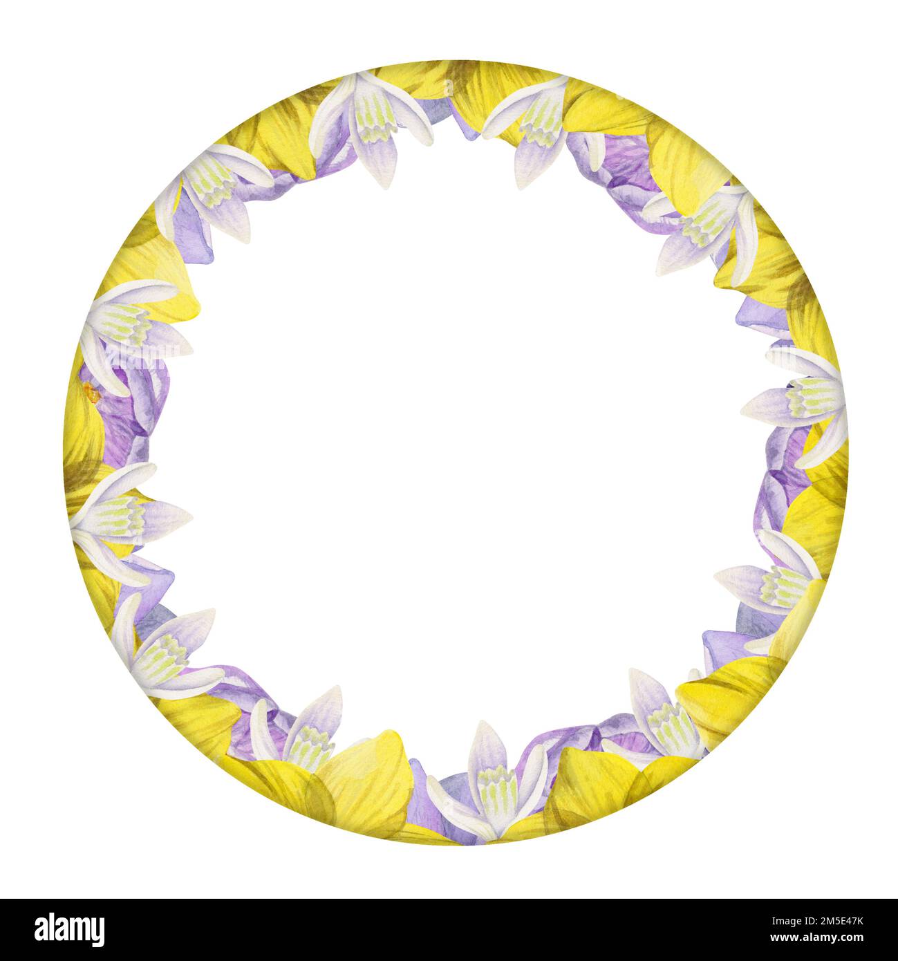 Watercolor hand drawn circle wreath with spring flowers, daffodils ...