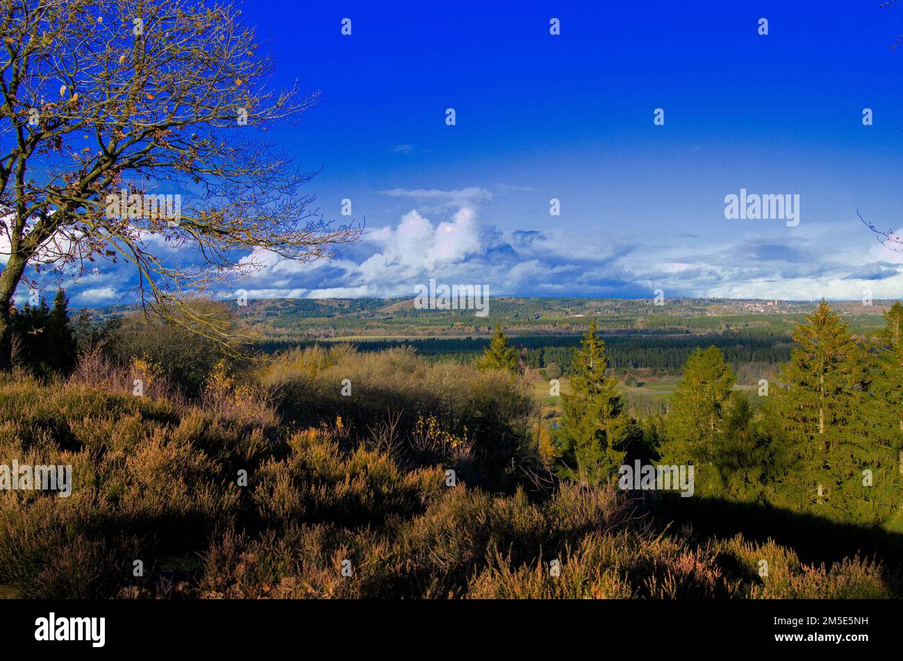 Himmelbjerget denmark hi-res stock photography and images - Alamy