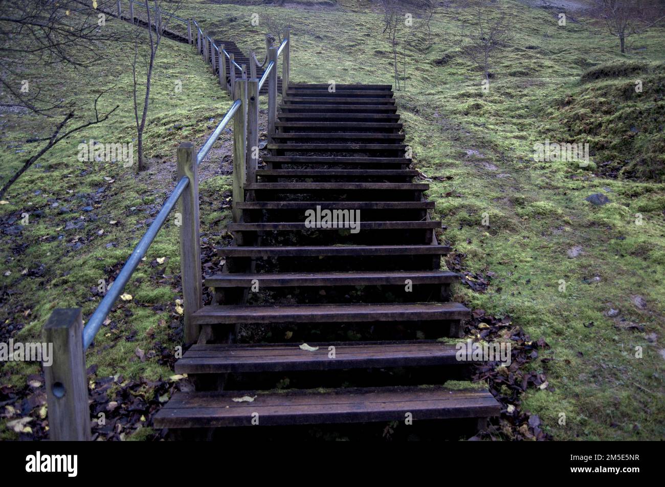 The wooden stairs going up a rural green grassy hill Stock Photo - Alamy