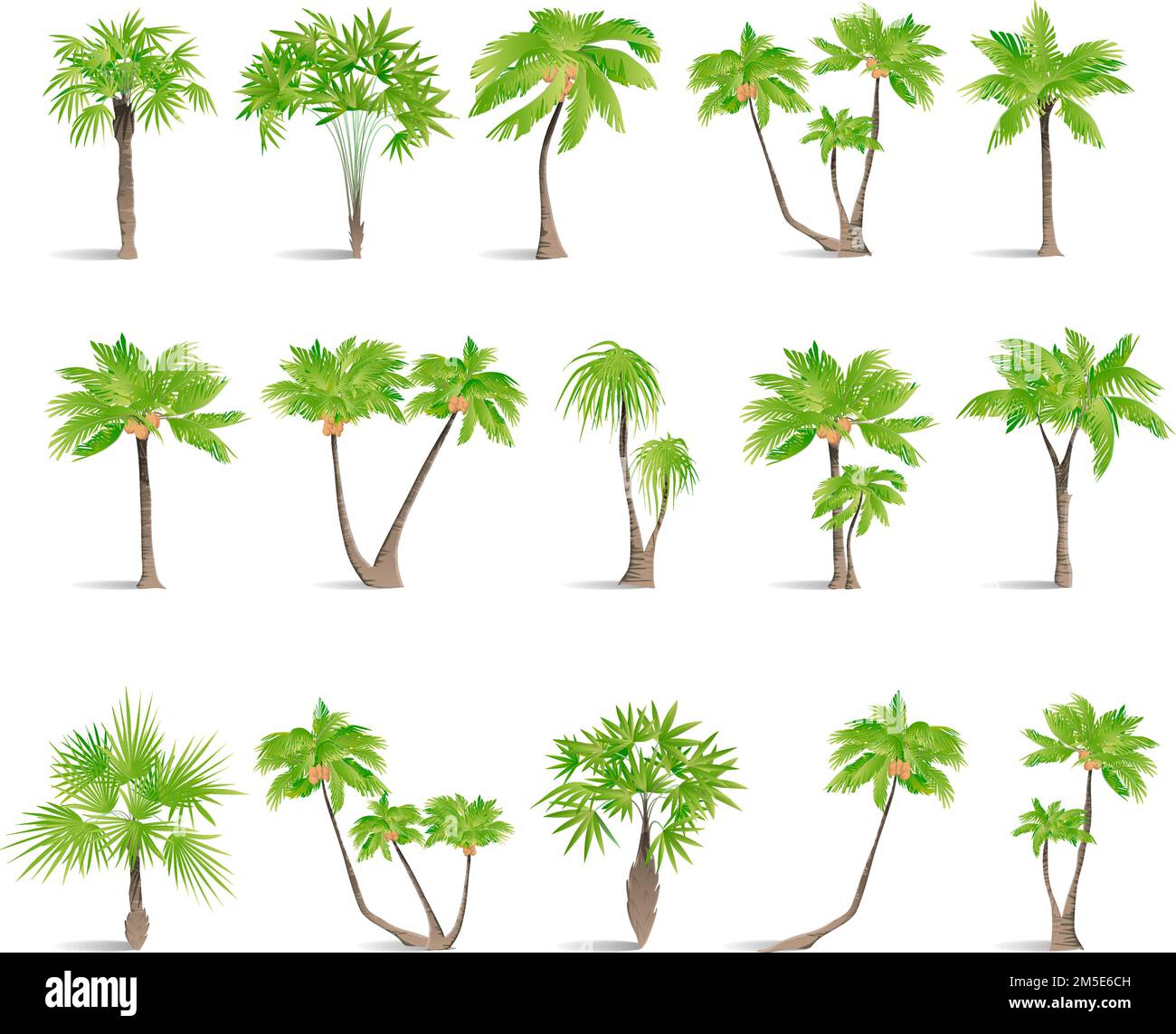 Isolated palms set on white background. Tropic exotic landscape Stock ...