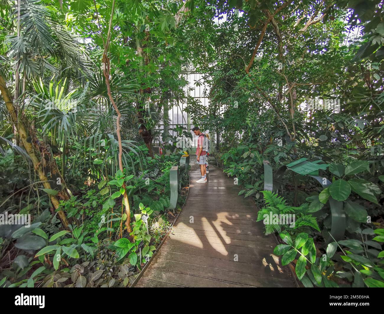 French national museum natural history hi-res stock photography and images - Alamy