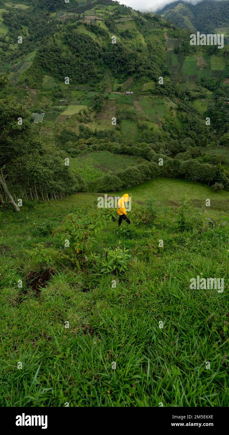 boy walking on a mountain hill in ecuadorian andes in totally green ...