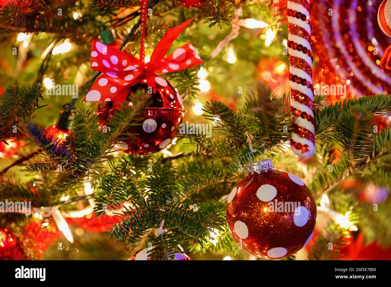Christmas tree displays hi-res stock photography and images - Alamy