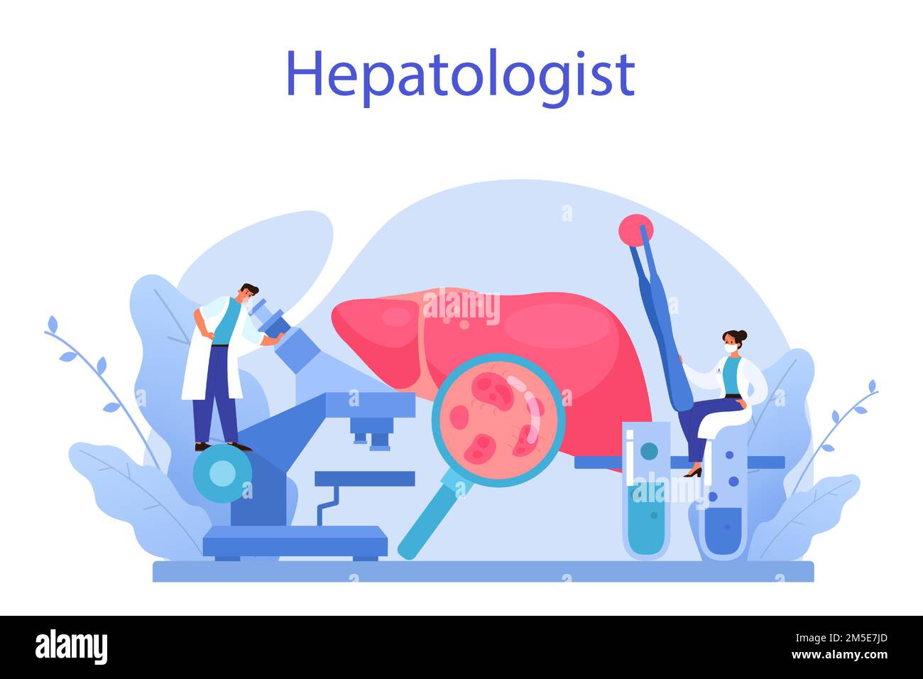 Hepatologist concept. Doctor make liver examination, hepatectomy. Idea ...