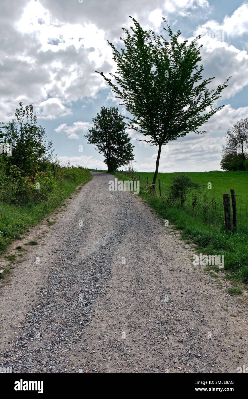 Leading into the horizon hi-res stock photography and images - Alamy