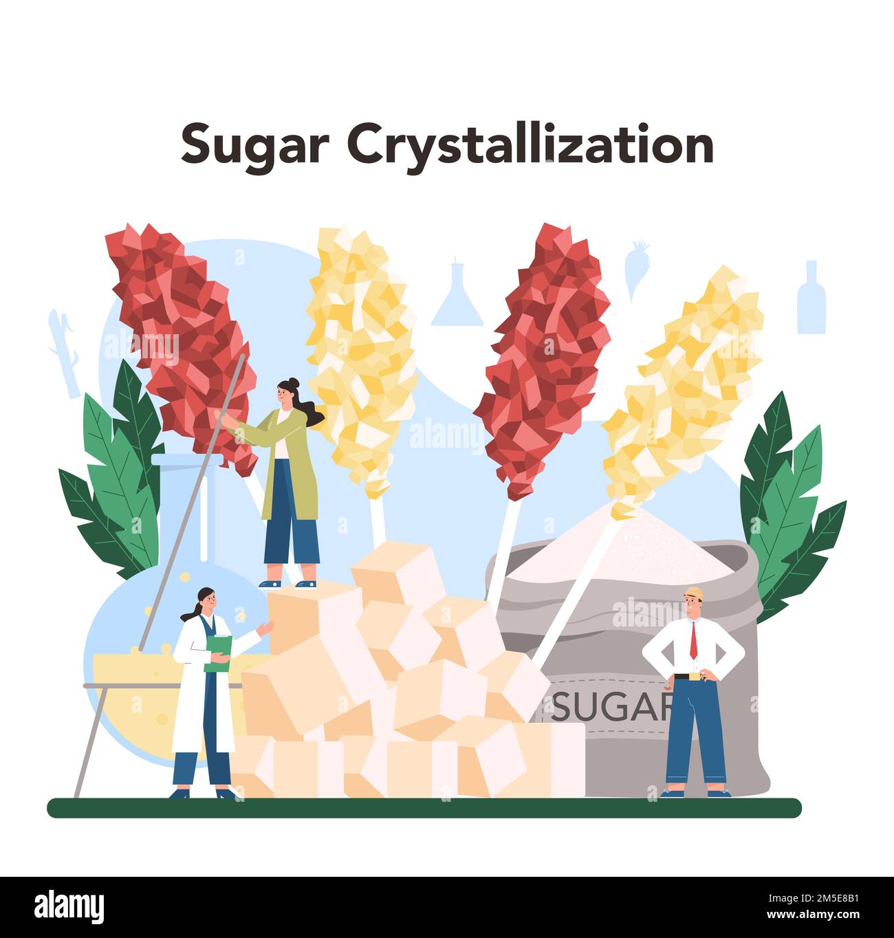 Sugar production industry. Saccharose and fructose extracted from sugar ...