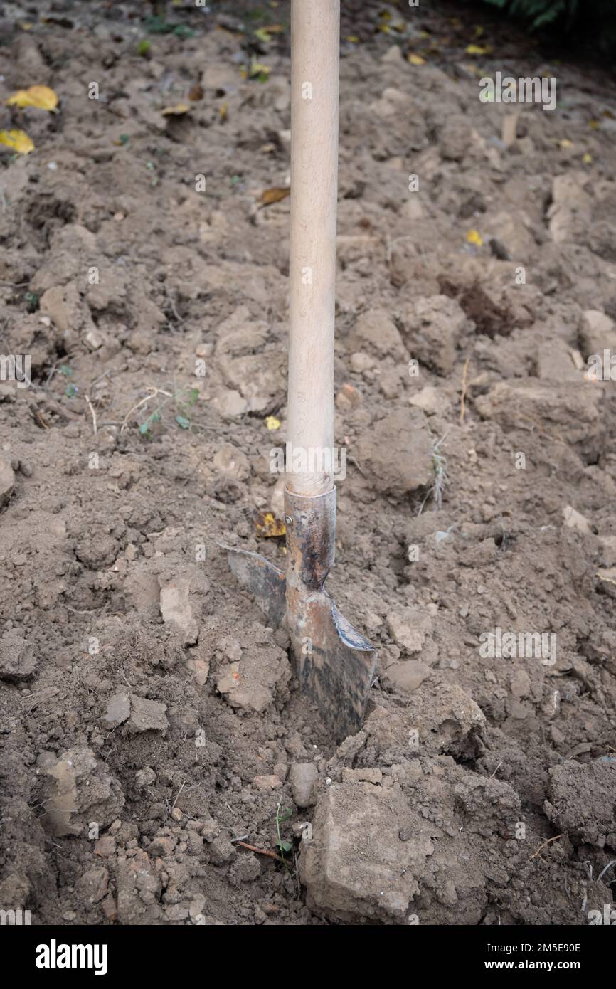 Digging operations in a vegetable garden to prepare the land for spring ...