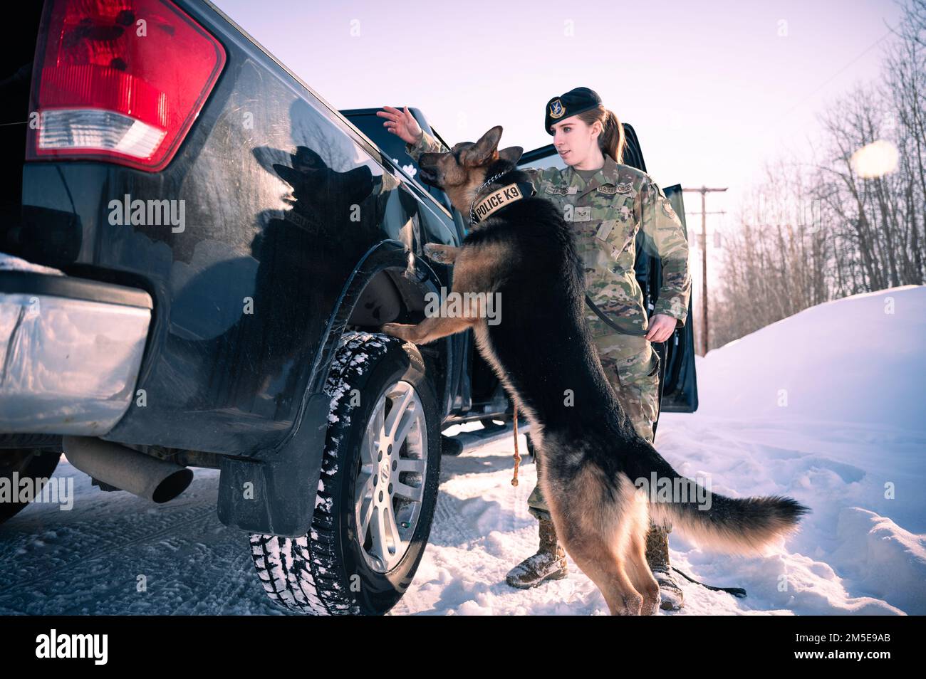 Security forces k9 handler dog hi-res stock photography and images - Alamy