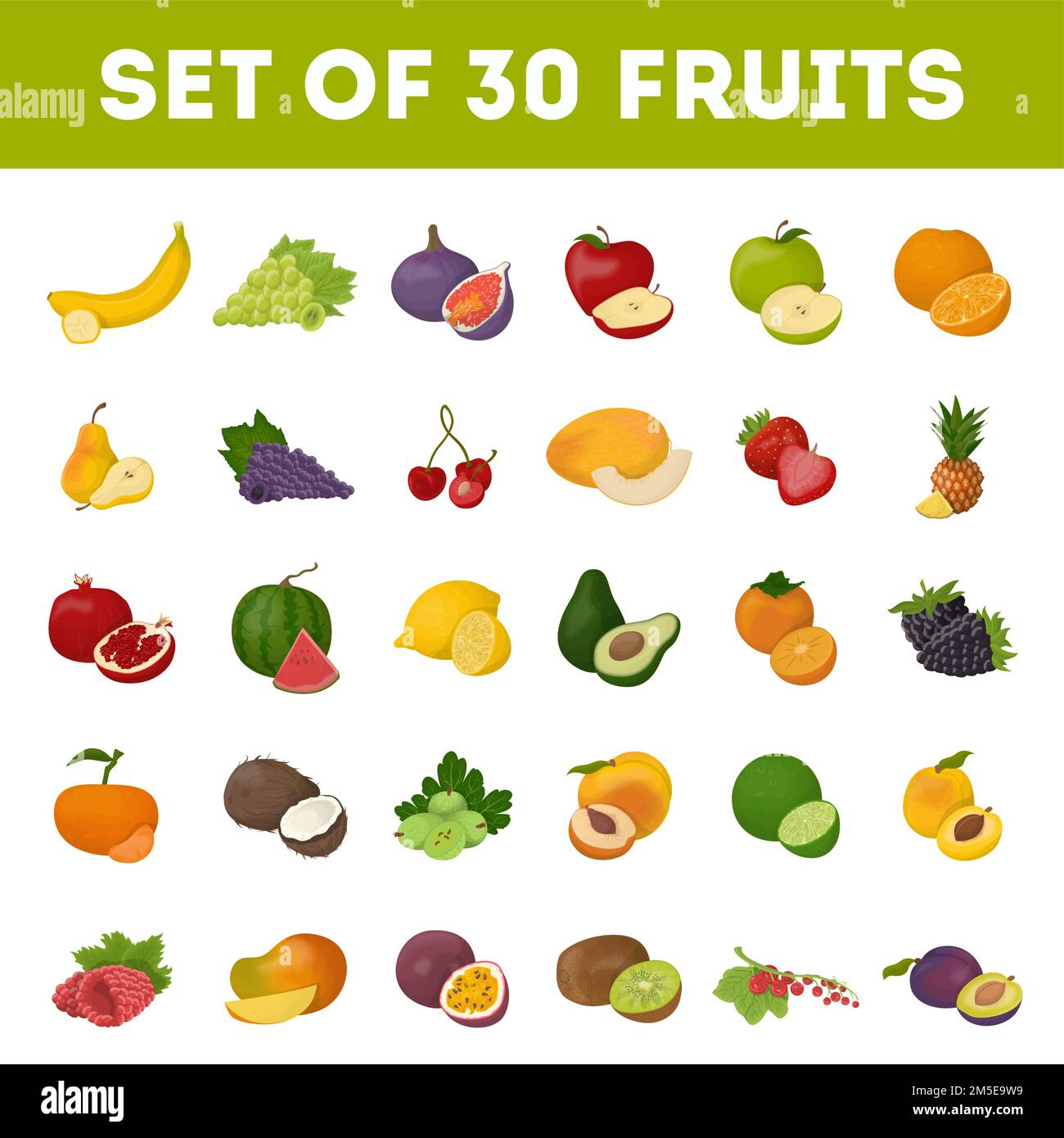 Set of fruits on white background. Bananas and apples, cherry and melon ...