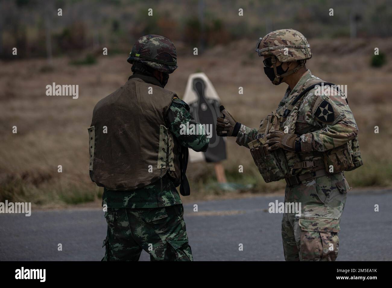 A U.S. Army Soldier from 3rd Platoon, Braves Company, 23rd Infantry ...