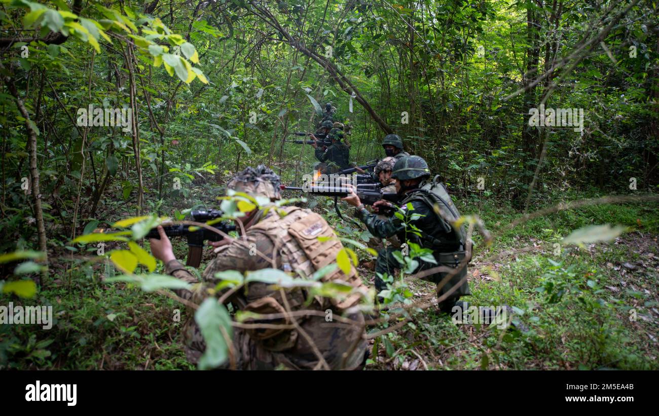A joint platoon of U.S. Soldiers and Royal Thai Army Soldiers react to ...