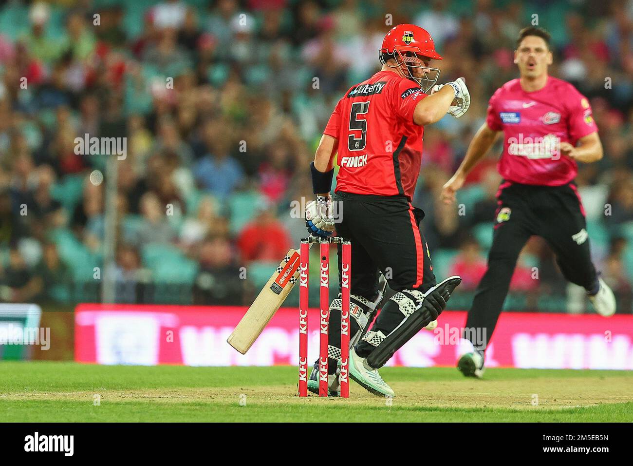 Aaron finch big bash hi-res stock photography and images - Alamy