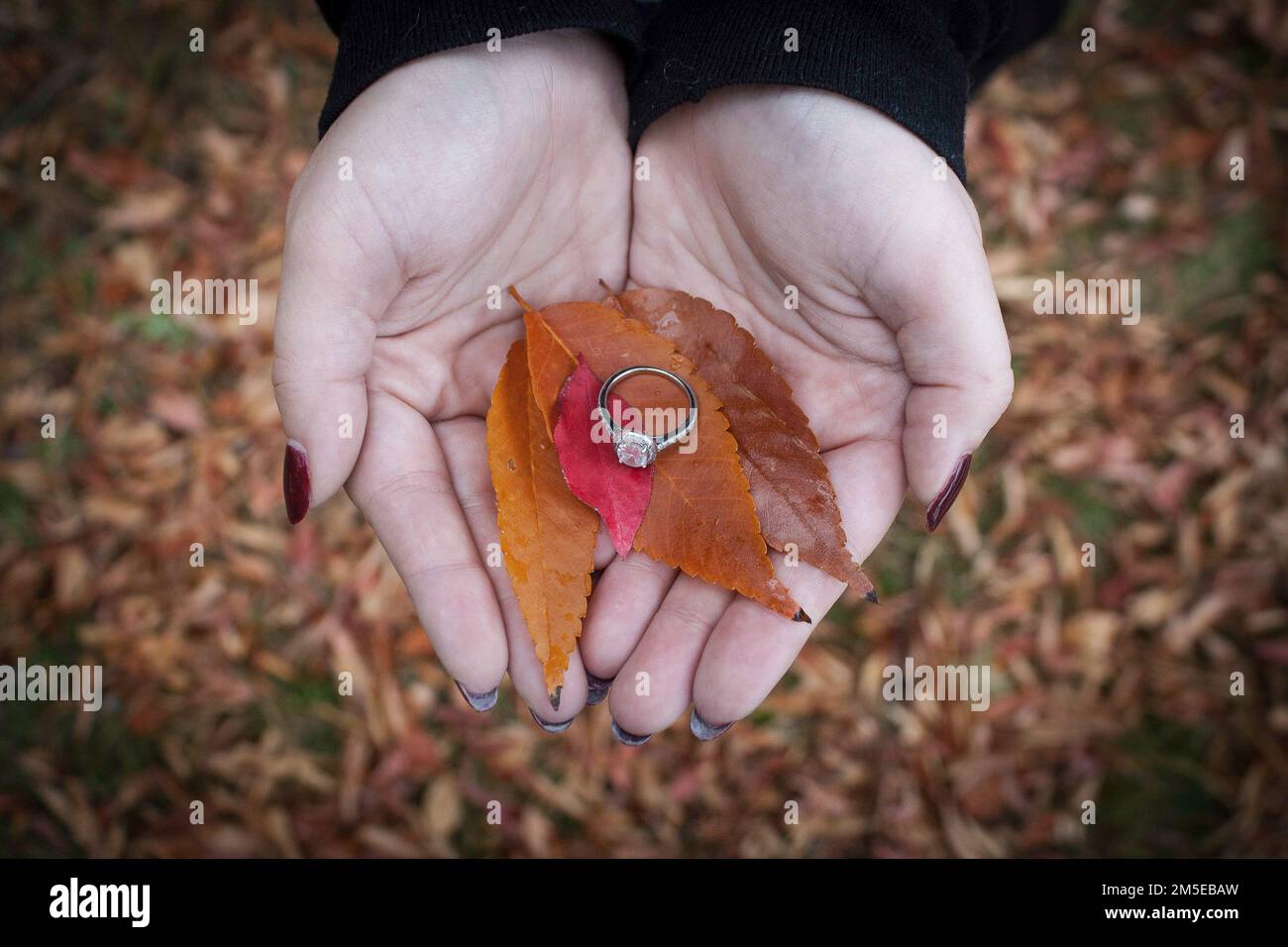 Fall Engagement Detail Shot Stock Photo - Alamy