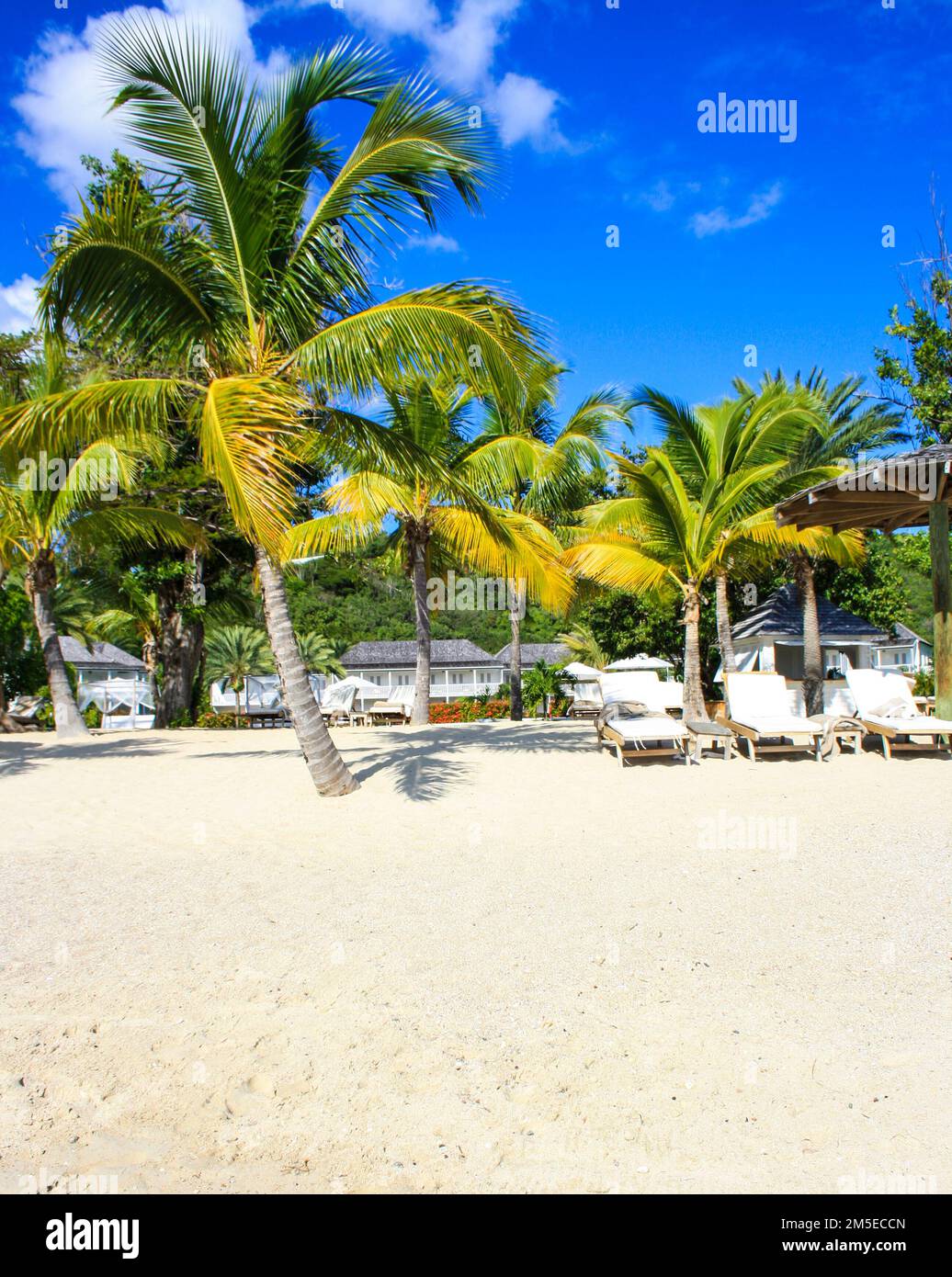 Property For Sale Galleon Beach Antigua at Douglas Sexton blog