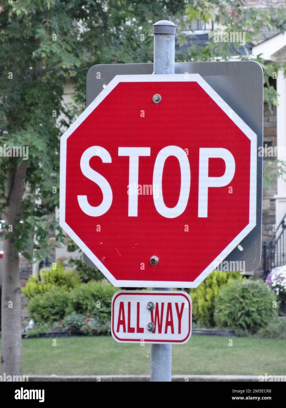 A red stop sign at the street Stock Photo - Alamy