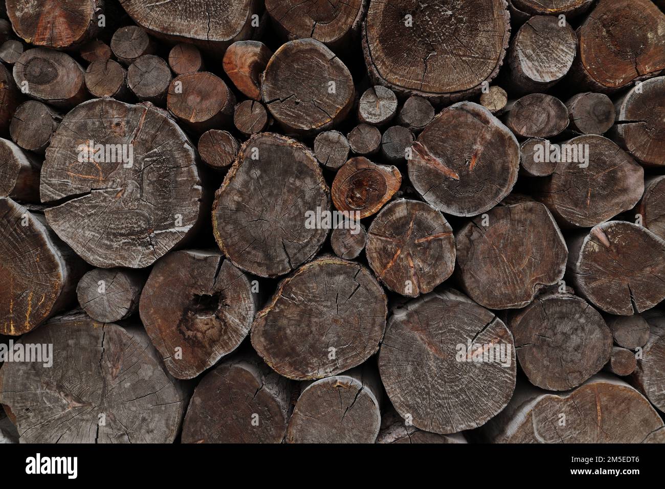 different round wooden disks as a background on a board Stock Photo - Alamy