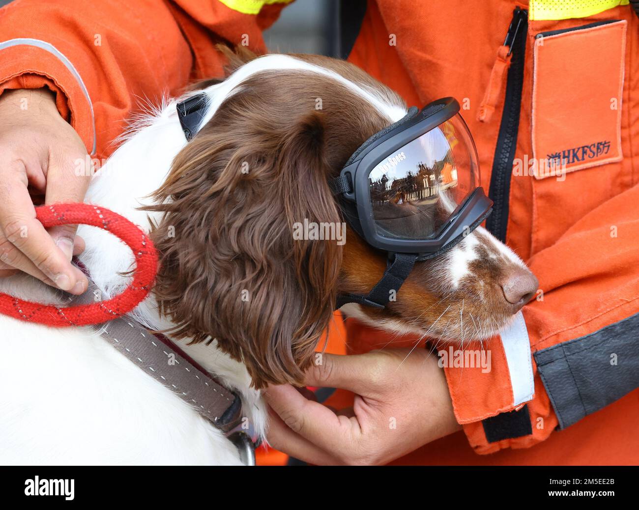36-hour cave-in rescue drill by Fire Services DepartmentHH Urban Search ...