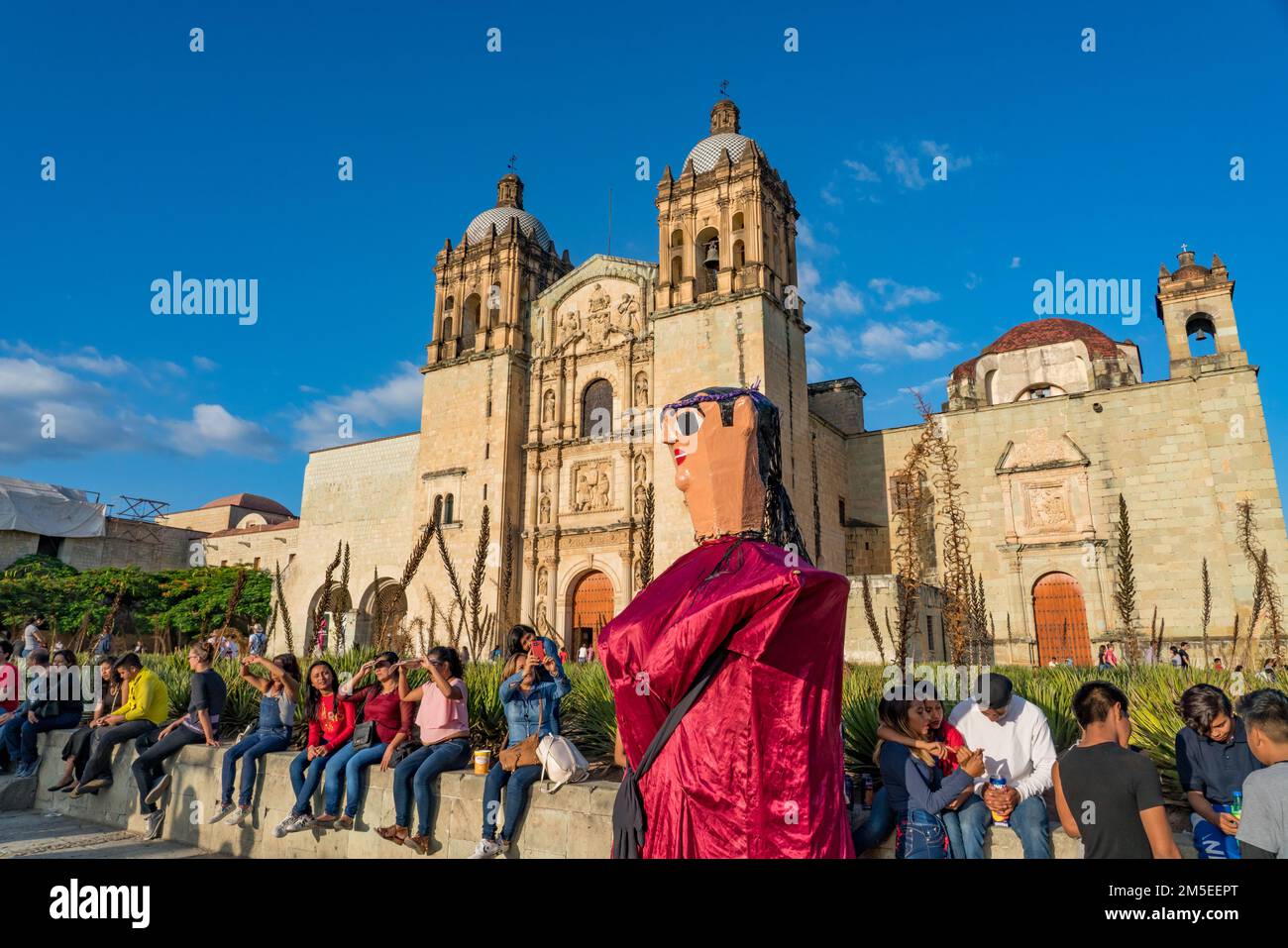Mono de america hi-res stock photography and images - Alamy