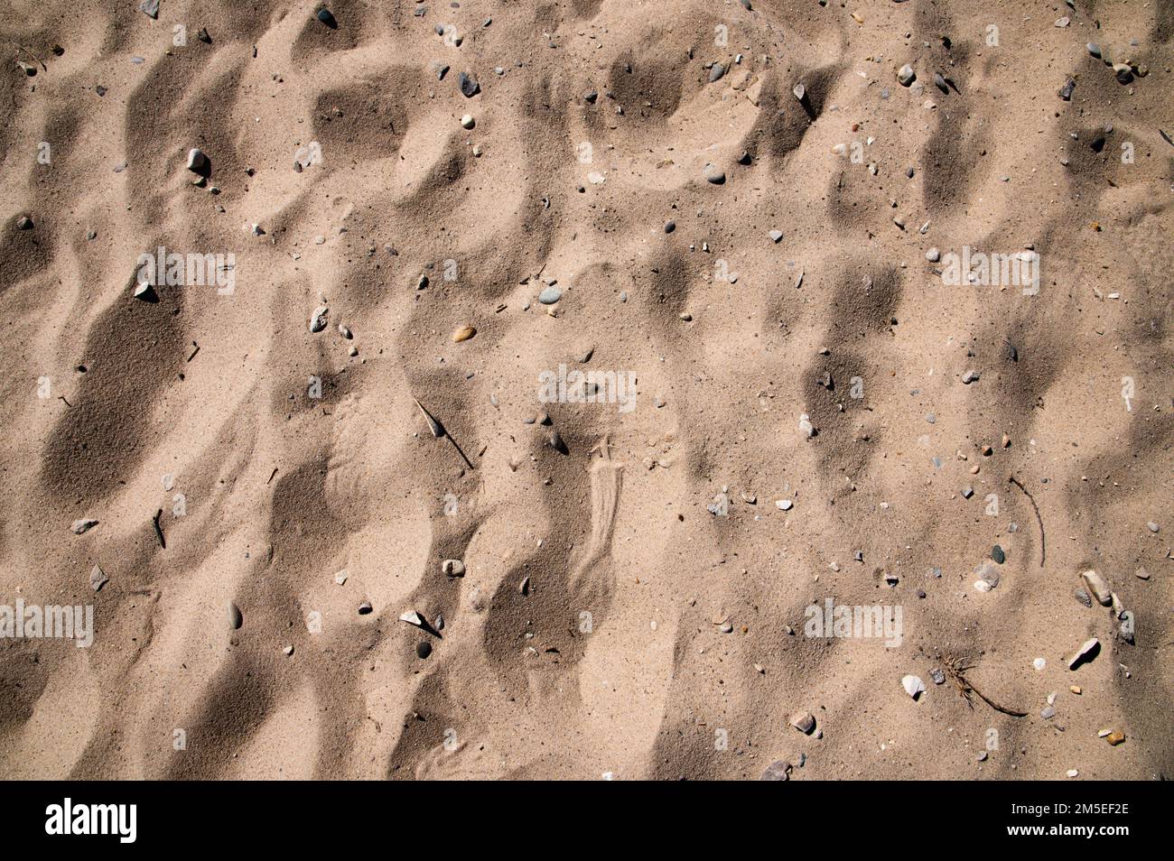 Sand with rocks and shells Stock Photo - Alamy