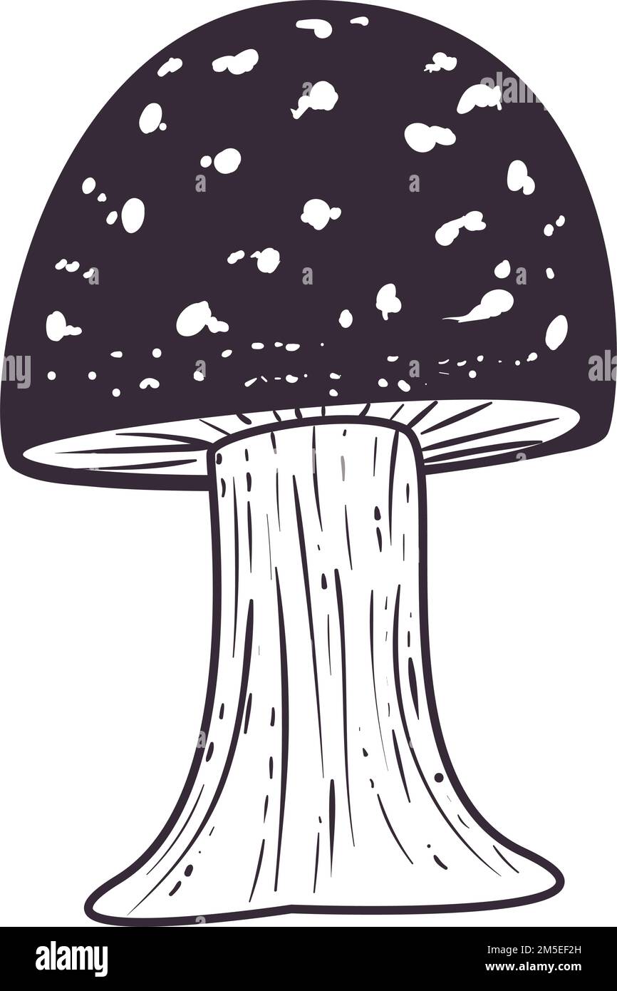 Big fungi Stock Vector Images - Alamy