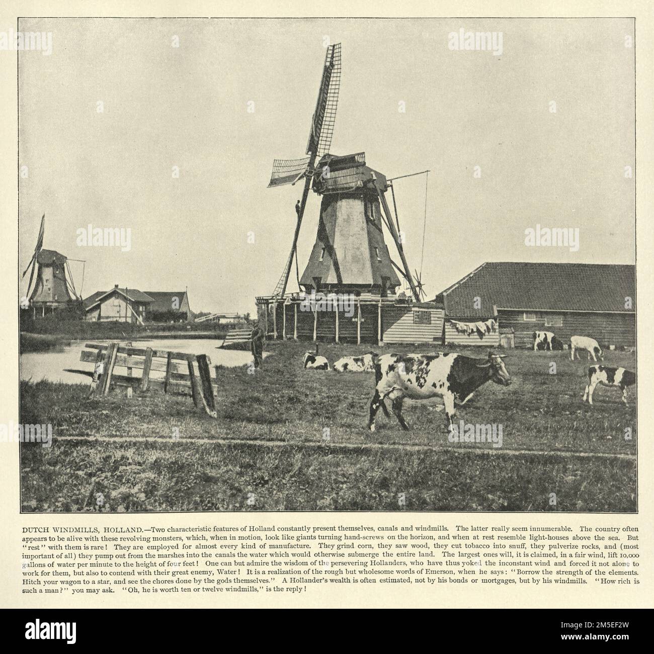 Vintage illustration after a photograph of Traditional Dutch windmills ...