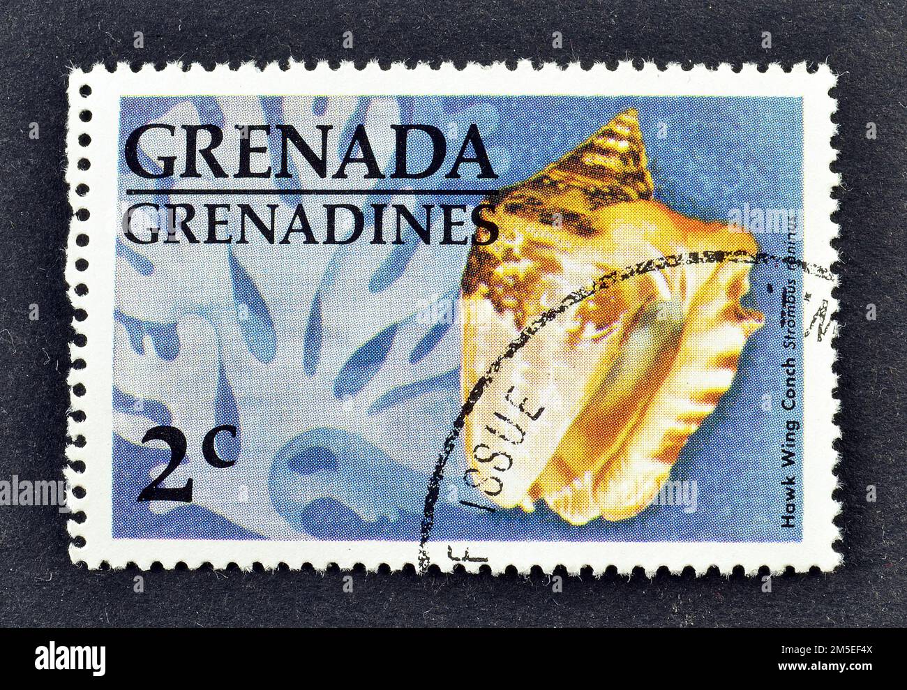 cancelled postage stamp printed by Grenada, that shows Hawk Wing Conch ...