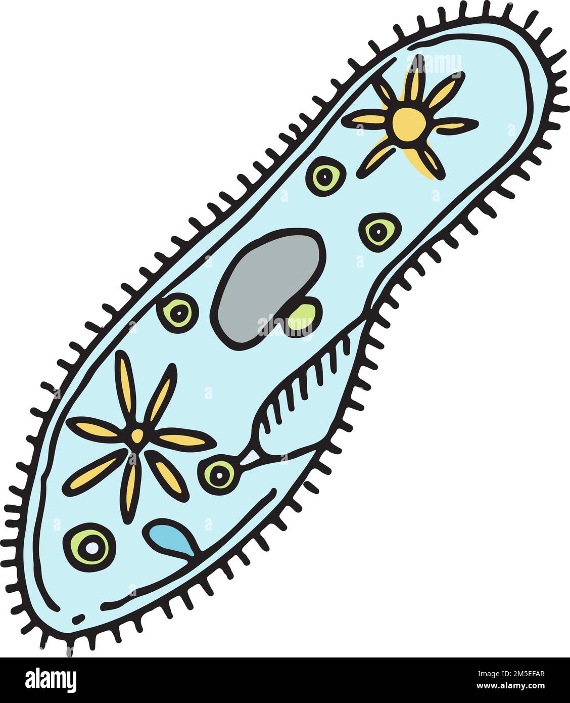 Bacteria cell icon. Biology doodle. Scientific drawing Stock Vector ... Bacteria cell icon. Biology doodle. Scientific drawing Stock Vector ...
