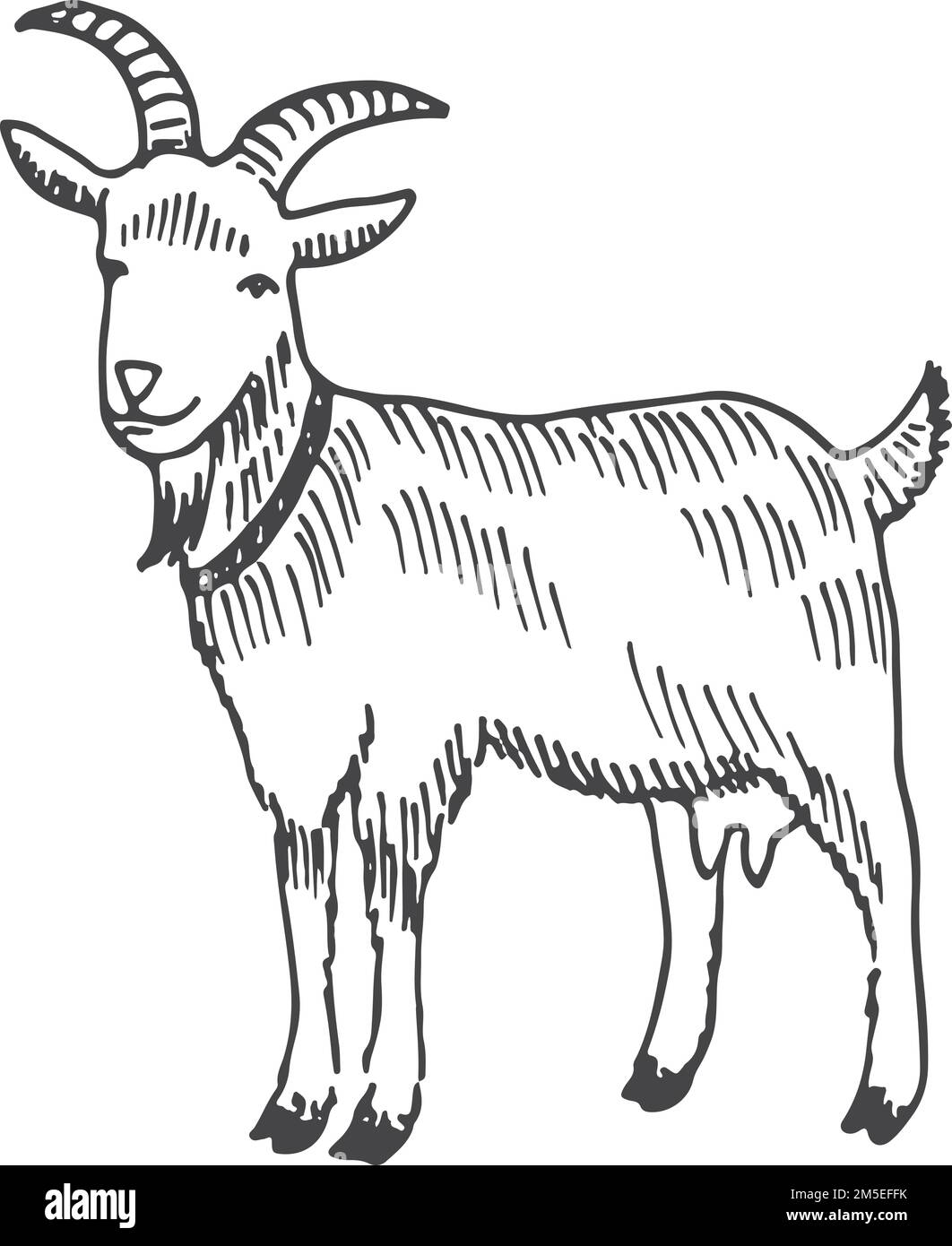 Farm hand drawing sketch Cut Out Stock Images & Pictures - Alamy