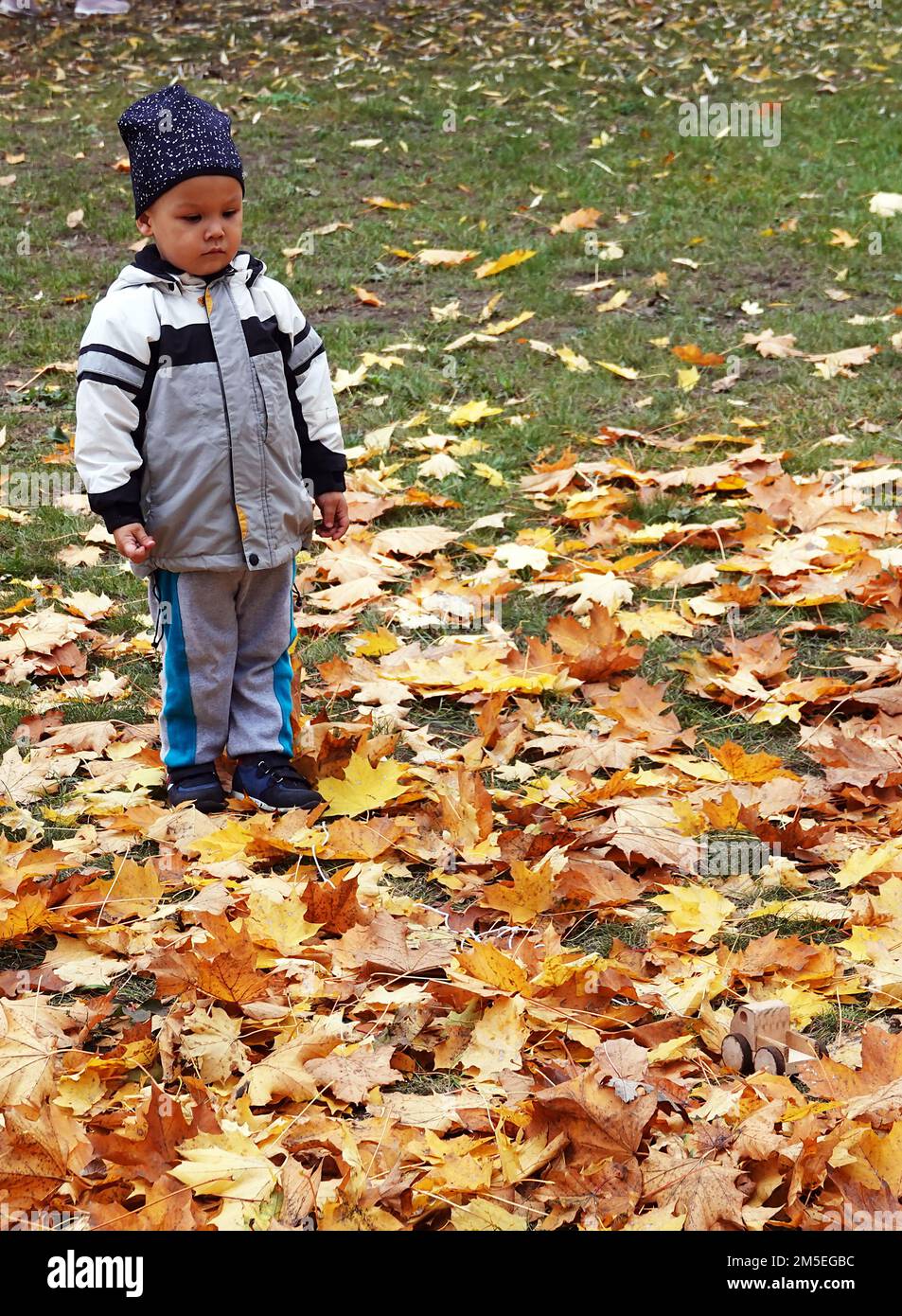 Kiev, Ukraine October 26, 2019: A boy in the park in autumn plays with ...