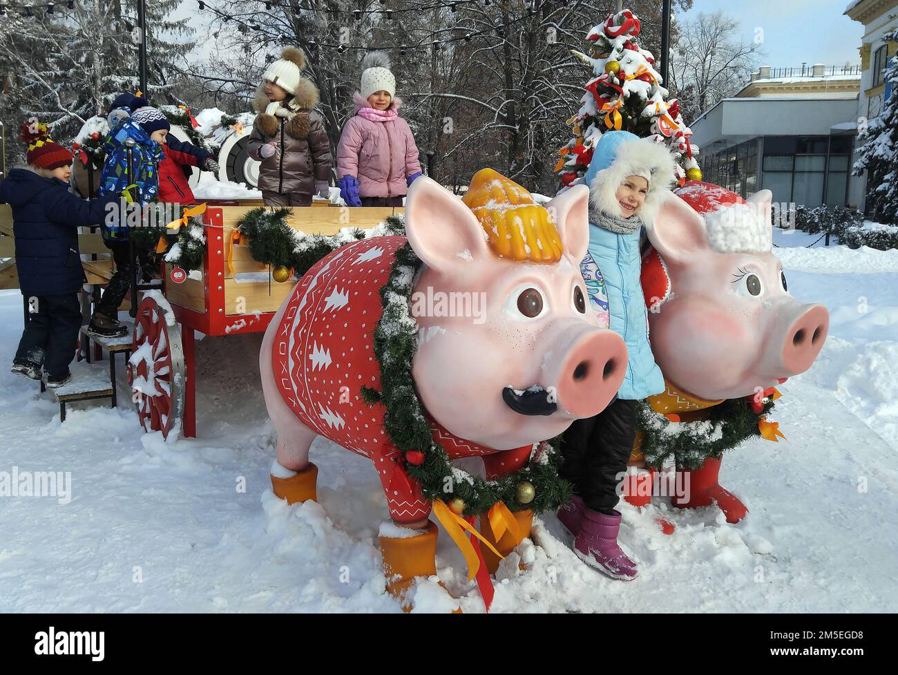 Pig in cart hi-res stock photography and images - Alamy