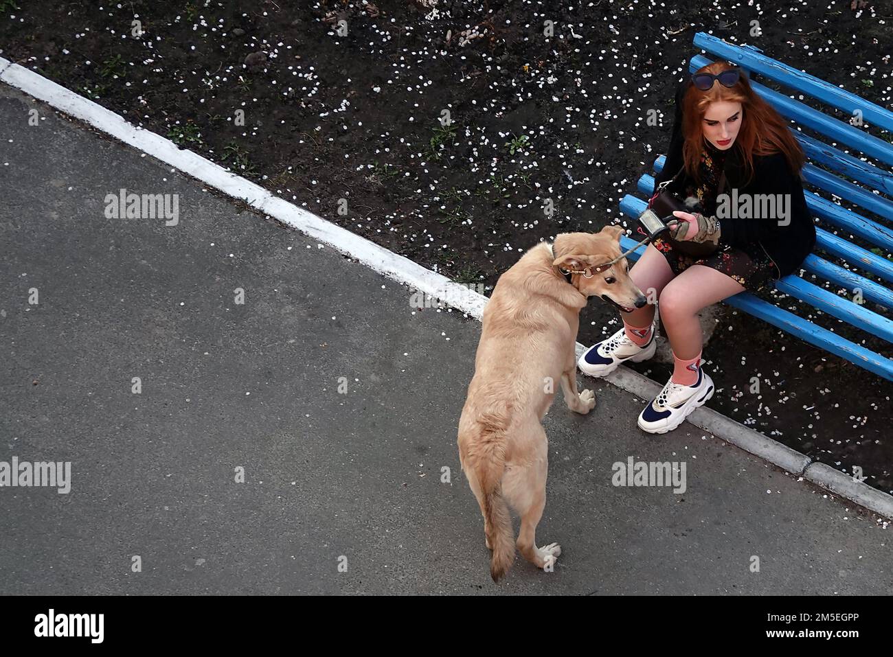 Kiev, Ukraine April 23, 2019: A young girl with a dog sits on a bench ...