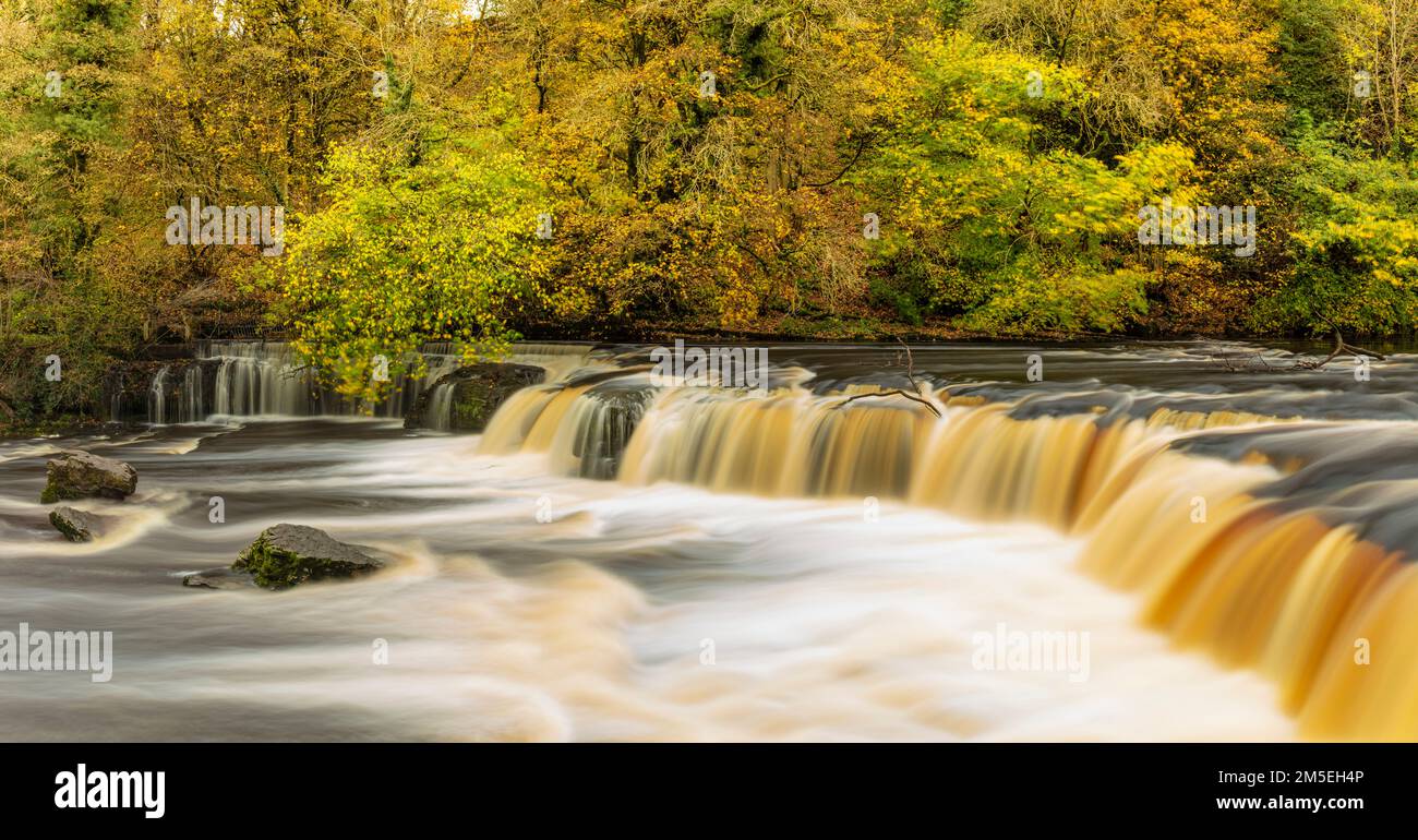 Yorkshire Dales National park Upper Aysgarth falls full spate on the ...